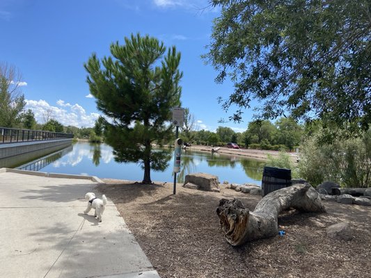 TINGLEY BEACH - 158 Photos & 37 Reviews - 1800 Tingley Dr SW ...