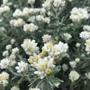 UCR BOTANIC GARDENS - Updated January 2026 - 699 Photos & 136 Reviews ...