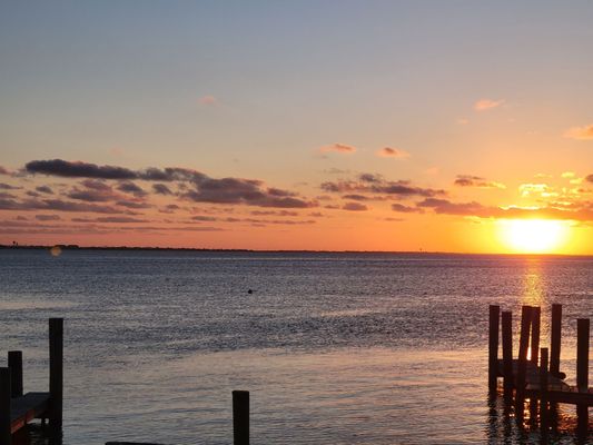 SENOR DONKEY - Updated October 2025 - 223 Photos & 527 Reviews - 4215 ...