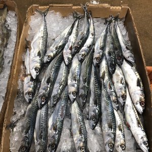 PHIL’S LIVE CRABS - Updated December 2025 - 14 Photos & 41 Reviews - 10 ...