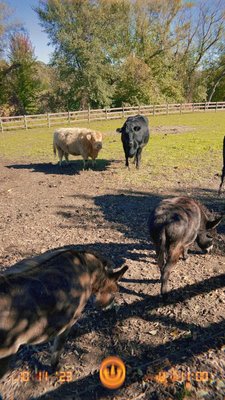 LUCELINE ORCHARD - Updated December 2025 - 131 Photos & 45 Reviews ...