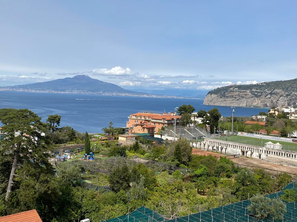 APRIL WHITNEY - PINK SANDS TRAVEL - Updated August 2025 - Contact Agent ...