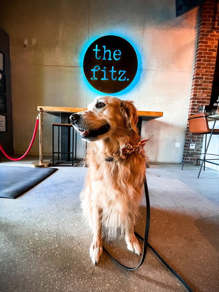 THE FITZ BAR & LOUNGE - 87 Photos & 50 Reviews - 503 SW 2nd Ave, Fort ...