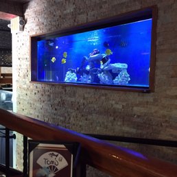 TOMO 68 - Updated December 2025 - 200 Photos & 143 Reviews - 174 ...