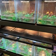 PET BAZAAR - 64 Photos & 61 Reviews - Pet Stores - 490 State Rd 436 ...
