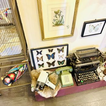 THE INSECT ASYLUM - Updated October 2025 - 65 Photos & 15 Reviews ...