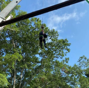 ADDISON TREE CARE - Updated October 2025 - 29 Photos - 5436 Pleasant ...