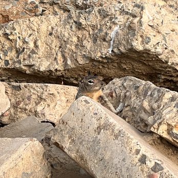 LIBERTY STATION NTC PARK - Updated June 2025 - 665 Photos & 167 Reviews ...