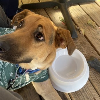 PUFFABELLY’S OLD DEPOT RESTAURANT - 107 Photos & 134 Reviews - 100 Main ...