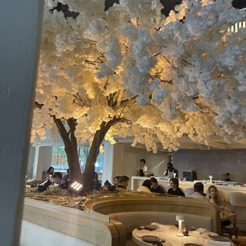 JANKEN - Updated December 2024 - 1192 Photos & 362 Reviews - 250 NW ...