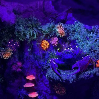 DREAMWALK PARK - Updated June 2025 - 71 Photos & 11 Reviews - 575 E ...