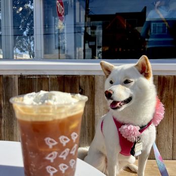 ANDYTOWN COFFEE ROASTERS - 2843 Photos & 1021 Reviews - 3655 Lawton St ...