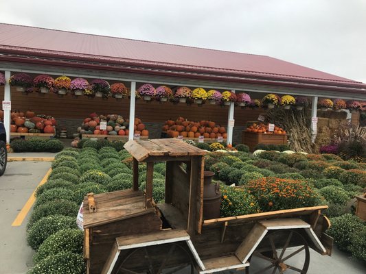 DUTCH BAKERY BULK FOOD STORE - 48 Photos & 23 Reviews - 709 US Highway ...