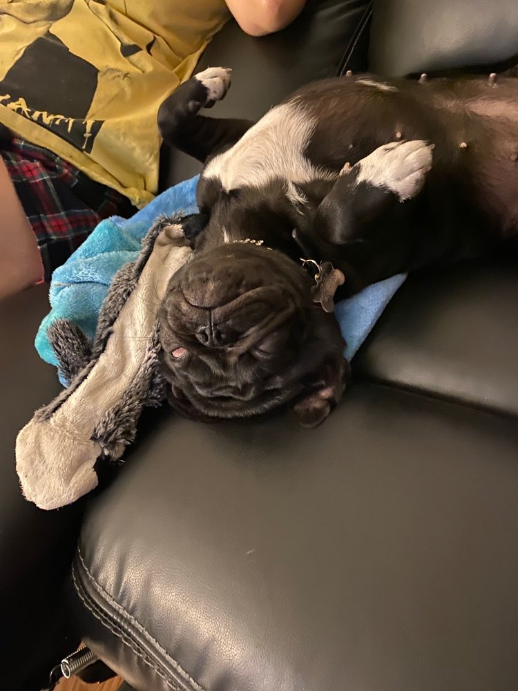 LORI’S MOBILE NOTARY & FINGERPRINTING - Updated January 2026 - 25 Photos & 36 Reviews - 4390 ...