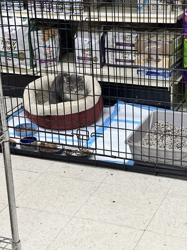 ANIMAL PANTRY - Updated December 2025 - 34 Photos & 12 Reviews - 190 ...