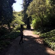 CODORNICES PARK - 157 Photos & 152 Reviews - 1201 Euclid Ave, Berkeley ...