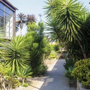 LACY STUDIO LOFTS - Updated December 2025 - 76 Photos & 20 Reviews ...