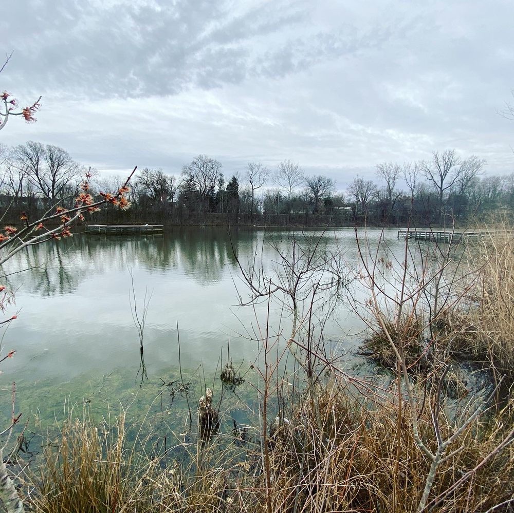 HOWELL WETLANDS - Updated March 2025 - 14 Photos - 1400 S Tekoppel Ave ...