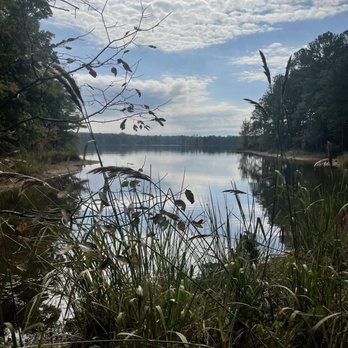 HARRIS LAKE COUNTY PARK - Updated December 2025 - 71 Photos & 23 ...