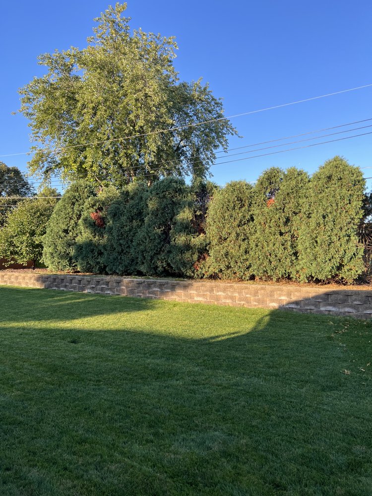 RAPTOR TREE SERVICE - Updated October 2025 - 14 Photos - W223N6219 ...