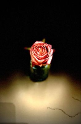 TOM BROWN’S RESTAURANT - Updated December 2025 - 102 Photos & 42 ...