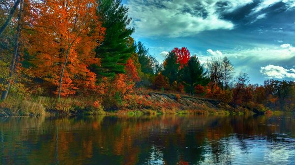 THE OLD LOG RESORT - Updated December 2025 - 31 Photos & 14 Reviews ...