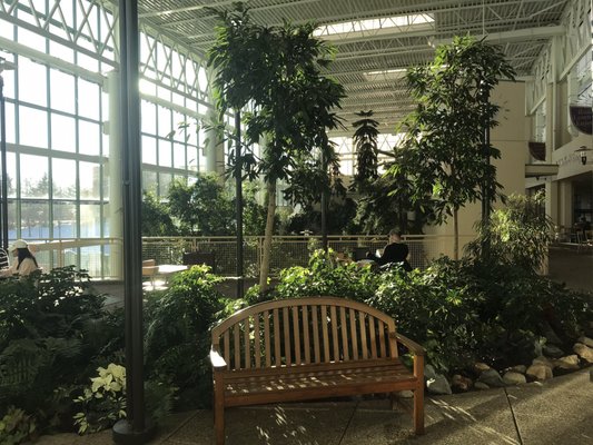 WOODBURY BRANCH WASHINGTON COUNTY LIBRARY - Updated December 2025 - 25 ...