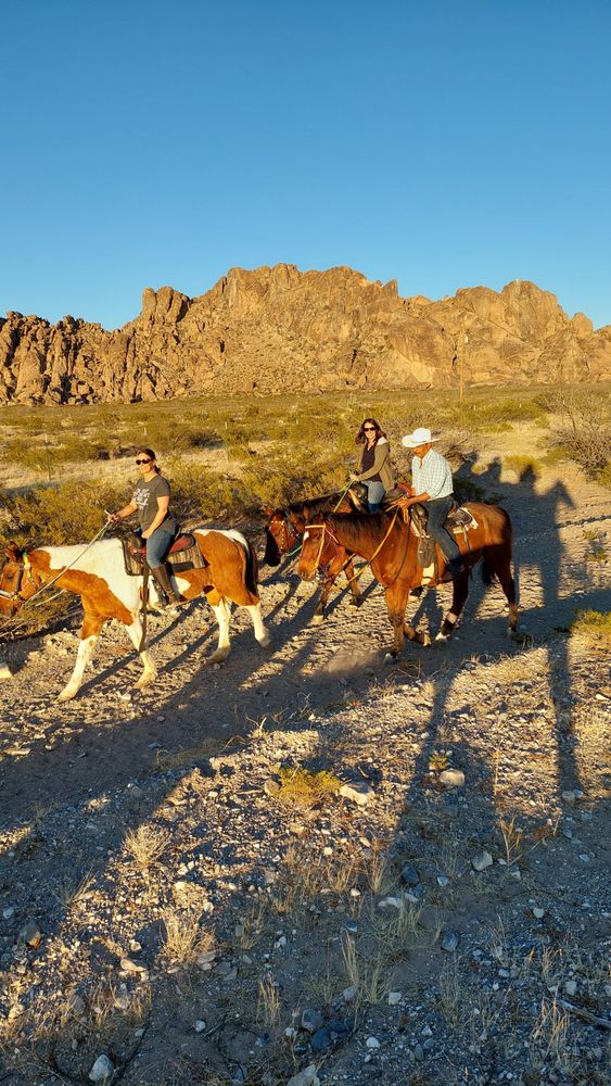 THE RUSTY PONY RANCH AND COMPANION ANIMAL RESCUE & SANCTUARY - Updated ...