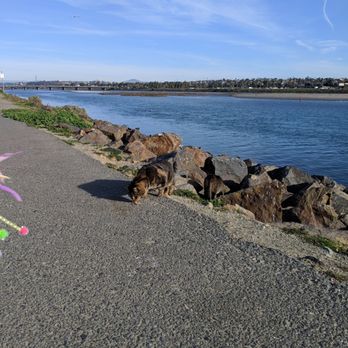 CAT JETTY - Updated December 2025 - 163 Photos & 18 Reviews - 2510 ...