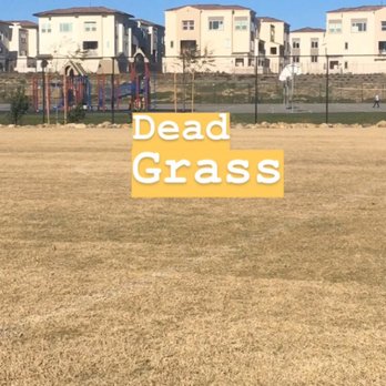 CESAR SOLIS COMMUNITY PARK - Updated October 2025 - 21 Photos & 12 ...