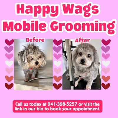 HAPPY WAGS MOBILE GROOMING - Updated May 2025 - 46 Photos - Palmetto ...