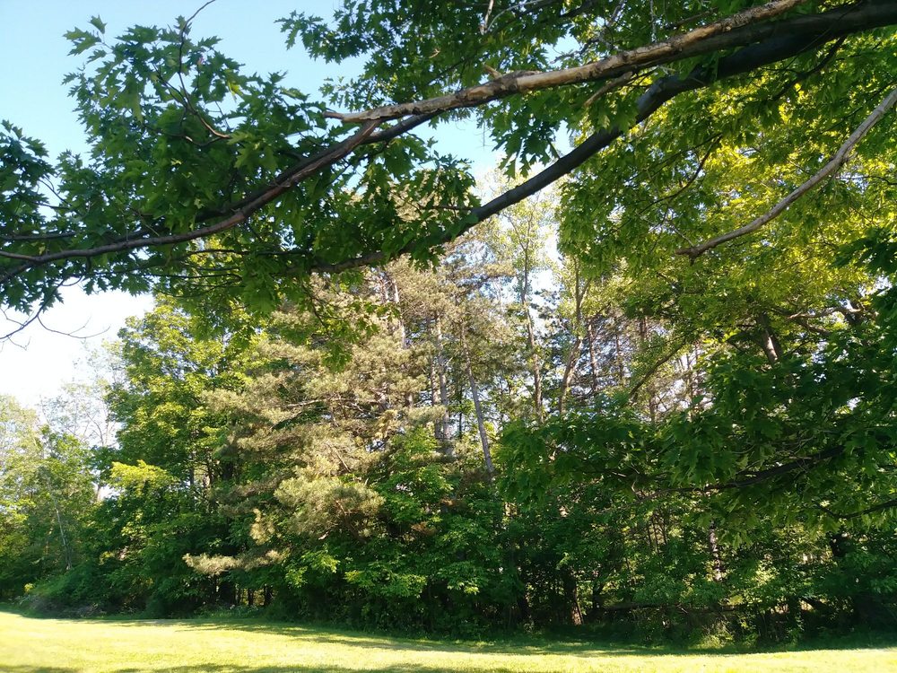 ARKWRIGHT HILLS CAMPGROUNDS - Updated September 2025 - 2942 Route 83 ...