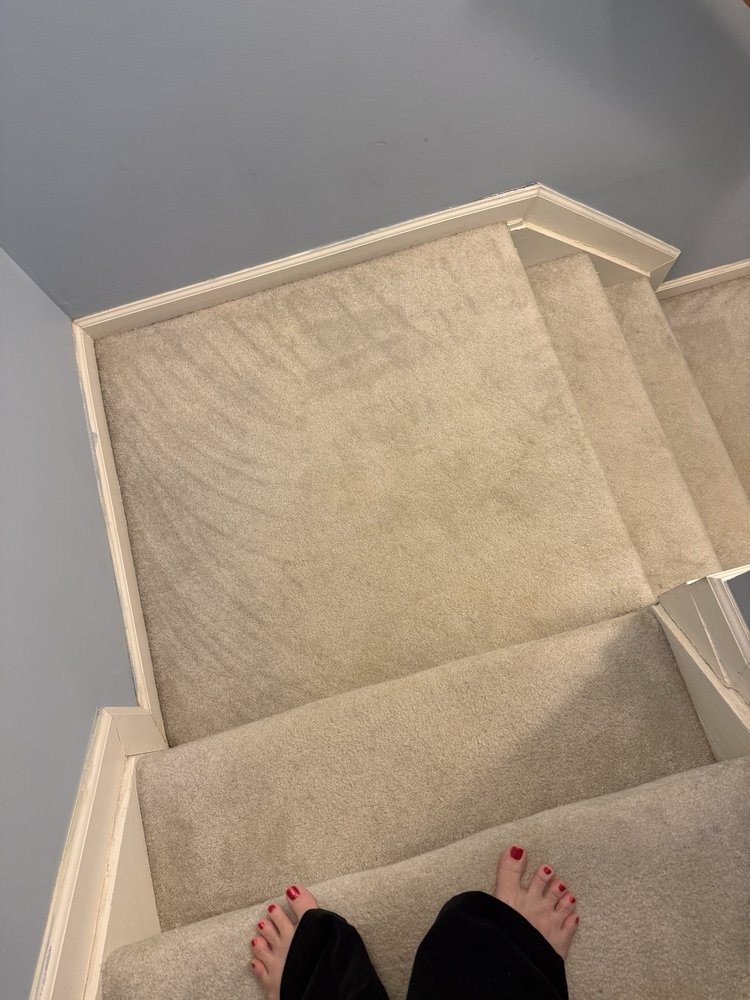 ROYAL CARPET CLEANERS - Updated December 2025 - 125 Photos & 25 Reviews ...