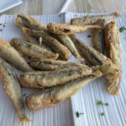 RAFINA GREEK TAVERNA - 482 Photos & 423 Reviews - 6877 SW 18th St, Boca ...