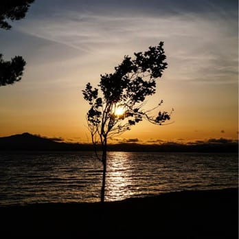 POINT MOLATE - Updated October 2025 - 101 Photos & 19 Reviews ...