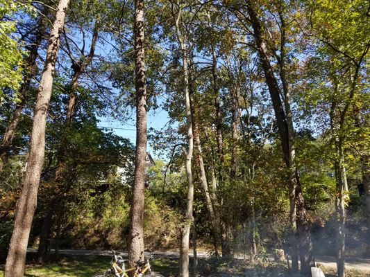 SWIFT RUN CAMPGROUND - Updated January 2026 - 41 Photos & 16 Reviews ...