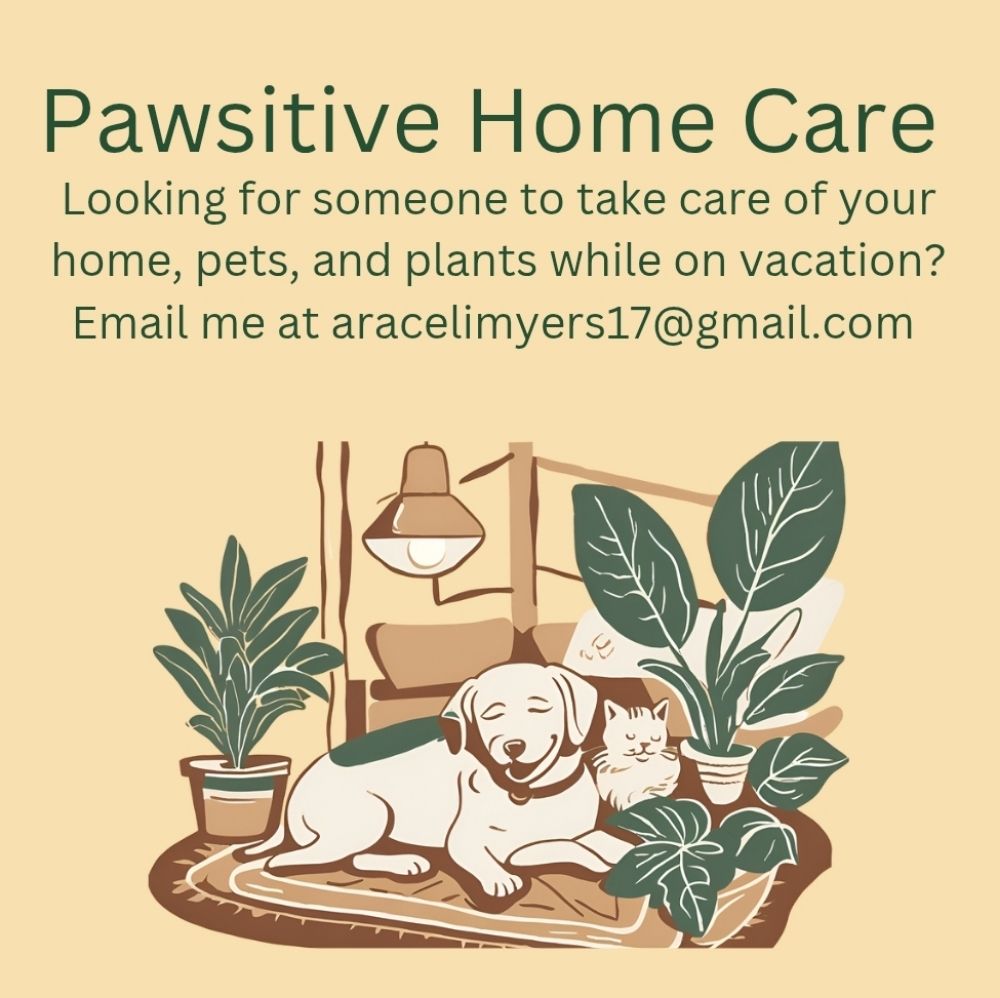 PAWSITIVE HOME CARE - Updated February 2025 - Request a Quote - Moore ...
