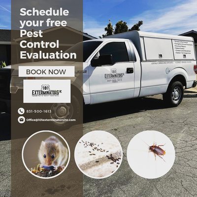 101 EXTERMINATORS - Updated October 2025 - 13 Reviews - 1628 N Main St ...