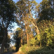 TREXLER MEMORIAL PARK - 108 Photos - Springhouse Rd, Allentown ...