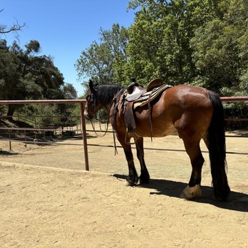 CIRCLE BAR B STABLES - Updated April 2025 - 682 Photos & 472 Reviews ...