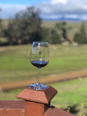 HARMONY CELLARS - Updated December 2025 - 313 Photos & 199 Reviews ...