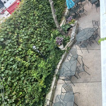 THE GREAT DANE PUB & BREWING COMPANY - Updated February 2025 - 618 ...