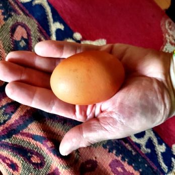 MILO’S POULTRY FARMS - Updated December 2025 - 20 Photos - N3873 Valley ...