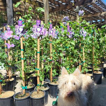 MARIA GARDENS CENTER - Updated December 2025 - 22 Photos & 38 Reviews ...