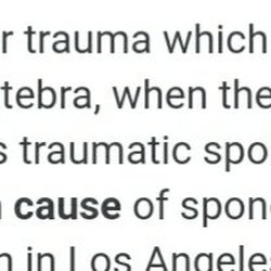 LAW OFFICES OF EDWARD J SINGER - 30 Photos & 23 Reviews - Workers ...