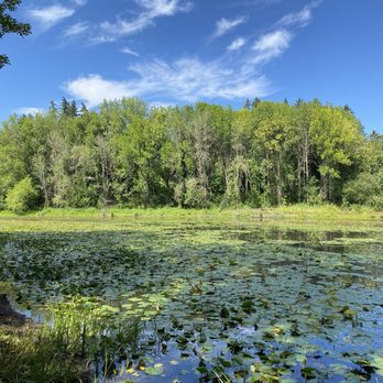 ROOD BRIDGE PARK - Updated December 2025 - 56 Photos & 31 Reviews ...