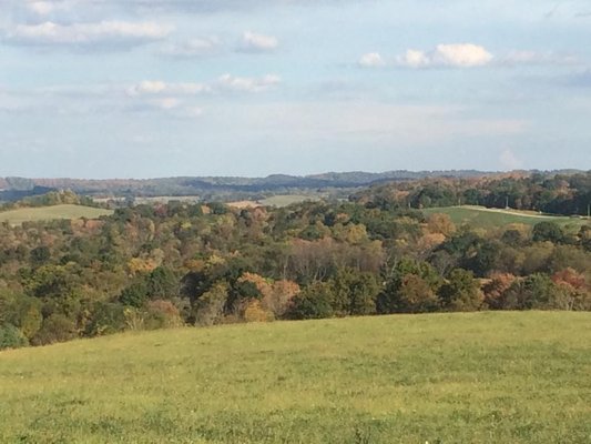 CLOVER RIDGE FARMS - Updated June 2024 - 8205 Adamsville Otsego Rd ...