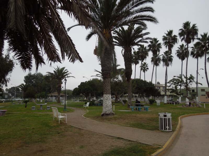 PARQUE MÉXICO - Updated October 2025 - 25 Photos - Av. Pacífico, entre ...