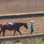 RAWHIDE RANCH - 53 Photos & 24 Reviews - Horseback Riding - 6987 W ...