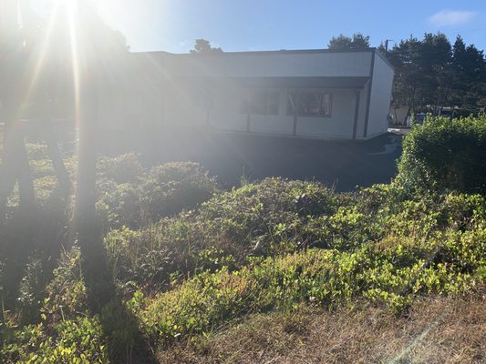 HECETA BEACH RV PARK - Updated November 2025 - 70 Photos & 79 Reviews ...